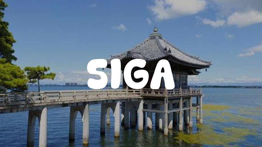 SIGA – tokyofurugimuseum